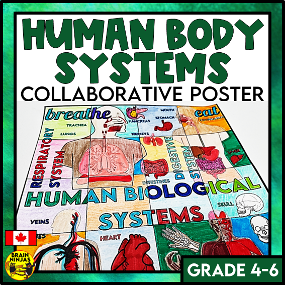 Human Body Systems Collaborative Poster | Paper – brainninjas