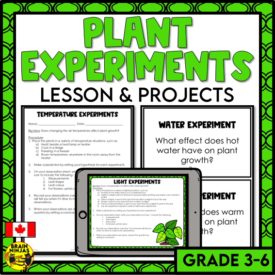 Plant Experiments About the Needs of Plants | Paper and Digital ...