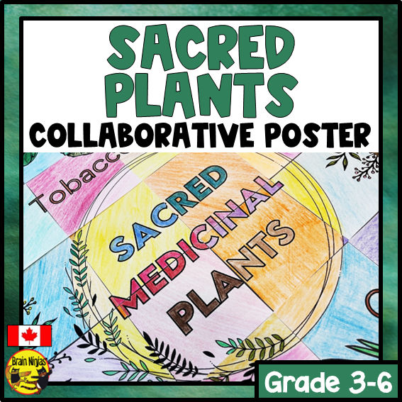 Sacred Medicinal Plants Collaborative Poster | Paper – brainninjas