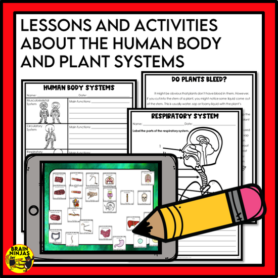 Alberta Science Grade 5 Full Year Lessons and Activities Bundle | Pape ...