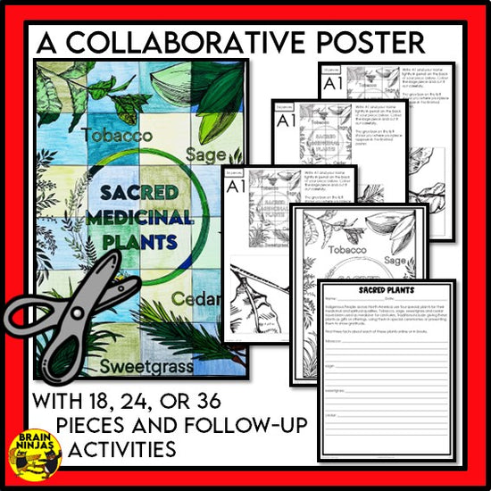 Alberta Science Grade 6 Full Year Lessons and Activities Bundle | Pape ...