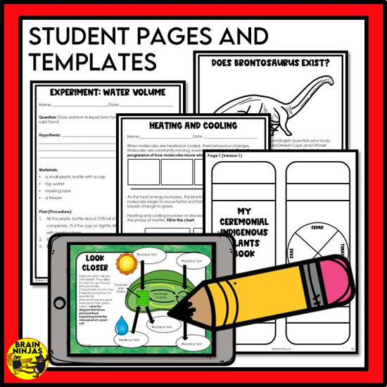 Alberta Science Grade 6 Full Year Lessons and Activities Bundle | Pape ...
