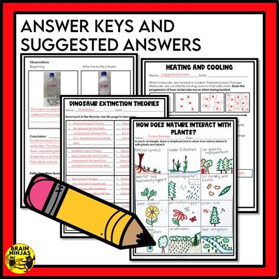 Alberta Science Grade 6 Full Year Lessons and Activities Bundle | Pape ...