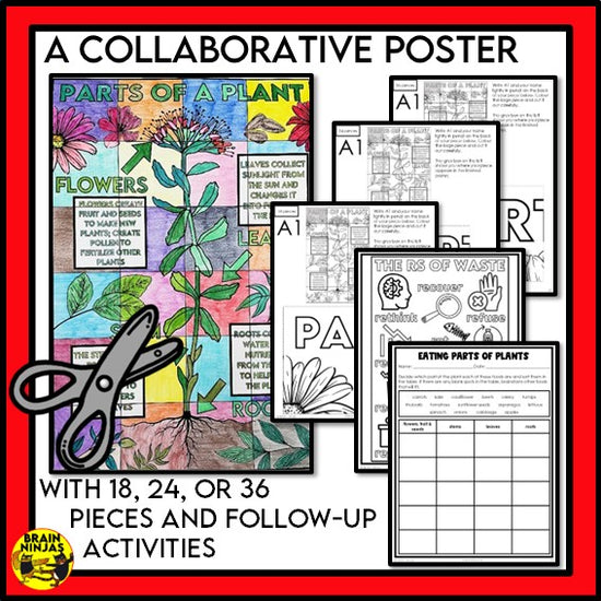 Alberta Science Grade 4 Full Year Lessons and Activities Bundle | Pape ...