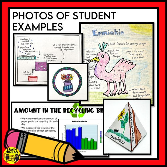 Alberta Science Full Year Bundle Grade 4 | Bundle | Paper and Digital ...