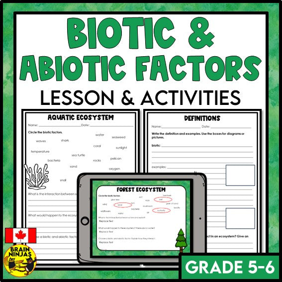 Biotic and Abiotic Factors in Ecosystems Lesson and Activities | Paper ...