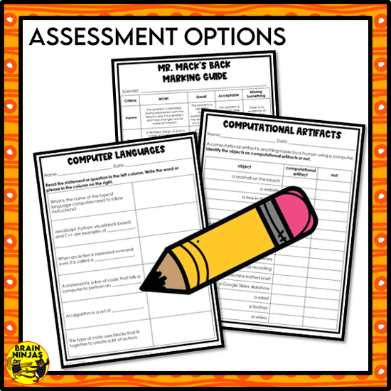 Computer Languages and Computational Artifacts Computer Science Lesson ...