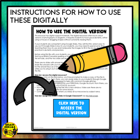 End of the Year Logic Puzzles | Paper and Digital – brainninjas