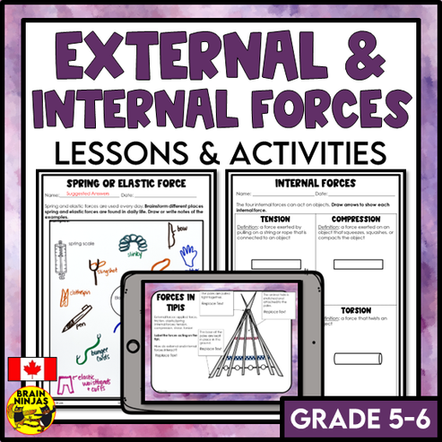 External and Internal Forces Lessons and Activities | Paper and Digita ...