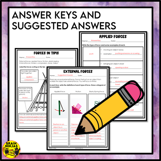 External and Internal Forces Lessons and Activities | Paper and Digita ...
