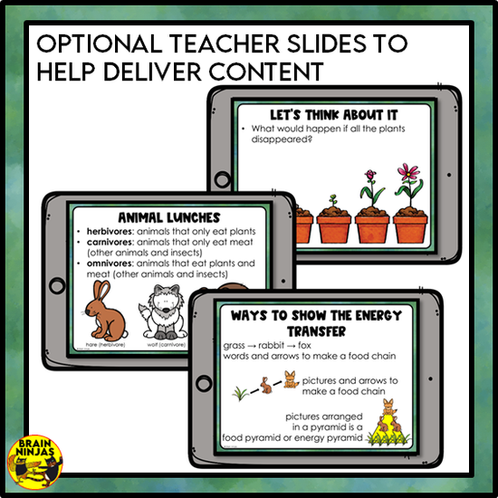 Food Chains Between Canadian Plants and Animals Lesson and Activities ...