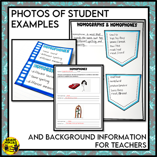Homophones and Homographs Lessons and Activities | Paper and Digital ...