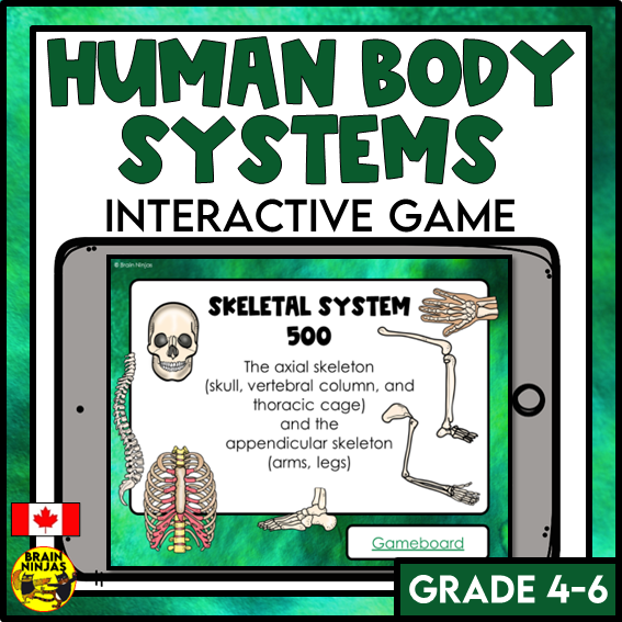 Human Body Systems Interactive Game | Digital – brainninjas