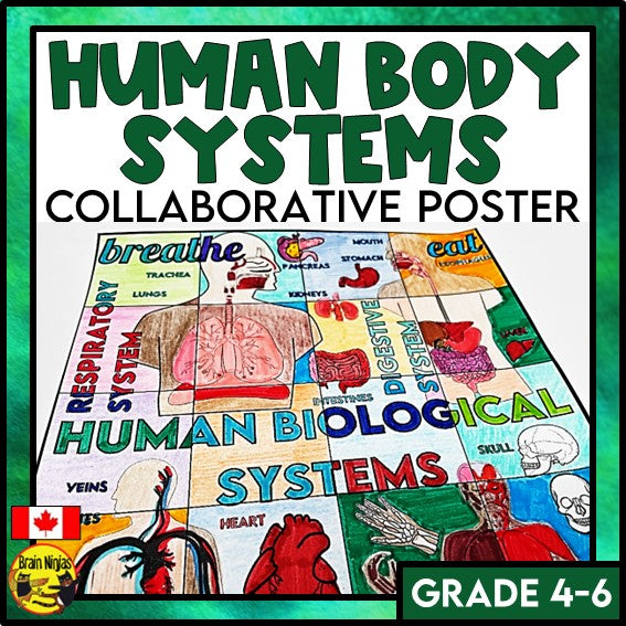 Human Body Systems Collaborative Poster | Paper – brainninjas