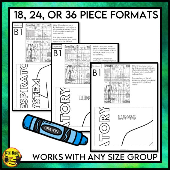 Human Body Systems Collaborative Poster | Paper – brainninjas