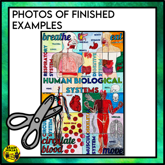 Human Body Systems Collaborative Poster | Paper – brainninjas