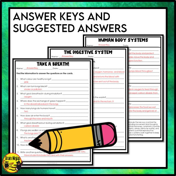 Human Body Systems Unit Bundle | Biological Systems | Paper and Digita ...