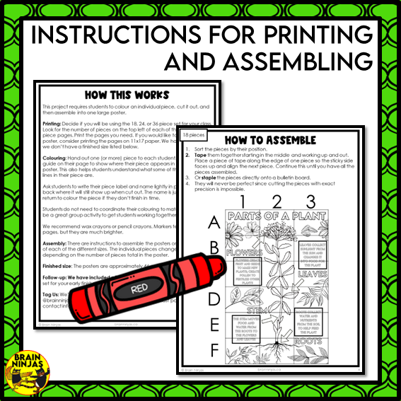Parts of Plants Collaborative Poster Colouring Activity Living Systems ...