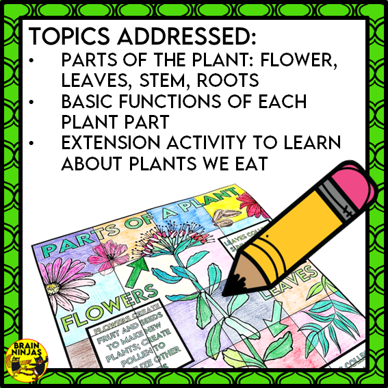Parts of Plants Collaborative Poster Colouring Activity Living Systems ...