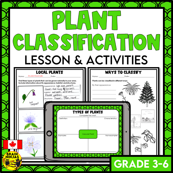 Plant Classification Lesson and Activities | Paper and Digital ...
