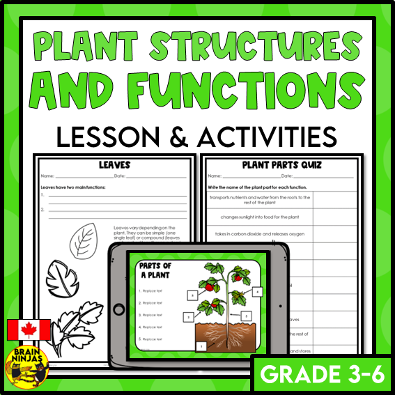 Plant Structures and Functions Lesson and Activities | Digital and Pap ...