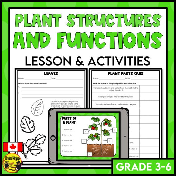 Plant Structures and Functions Lesson and Activities | Digital and Pap ...