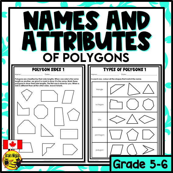 Names and Attributes of Polygons or 2D Shapes Math Worksheets | Paper ...