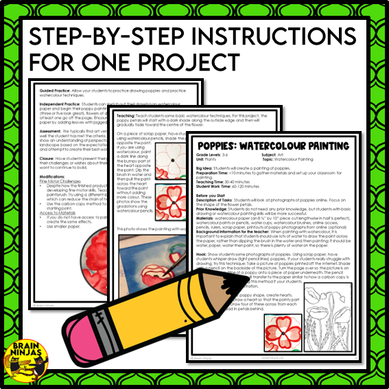 Free Remembrance Day Poppy Art Project Lesson Plan | Paper | Remembran ...