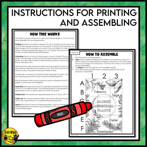 Sacred Plants Collaborative Poster Indigenous People in Canada | Paper ...