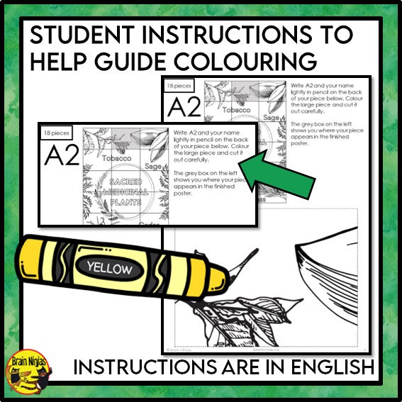 Sacred Plants Collaborative Poster Indigenous People in Canada | Paper ...