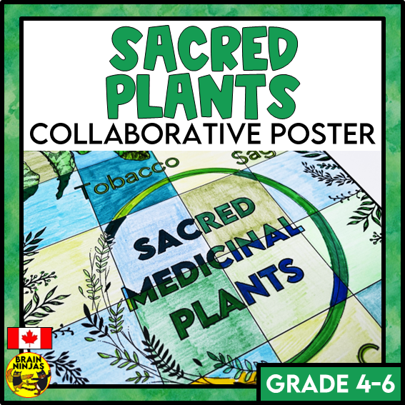 Sacred Plants Collaborative Poster Indigenous People in Canada | Paper ...