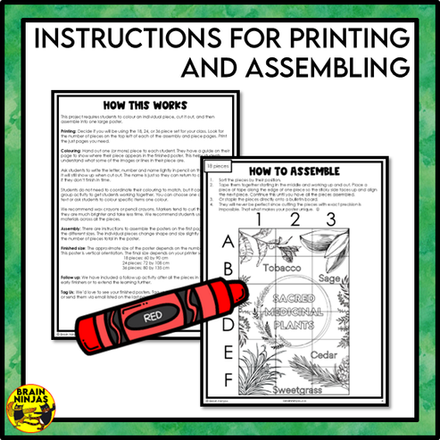 Sacred Plants Collaborative Poster Indigenous People in Canada | Paper ...