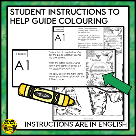 Sacred Plants Collaborative Poster Indigenous People in Canada | Paper ...