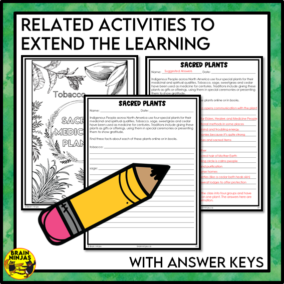 Sacred Plants Collaborative Poster Indigenous People in Canada | Paper ...