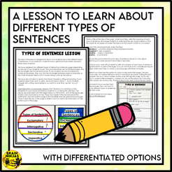 Types of Sentences Identifying and Punctuating | Paper and Digital ...