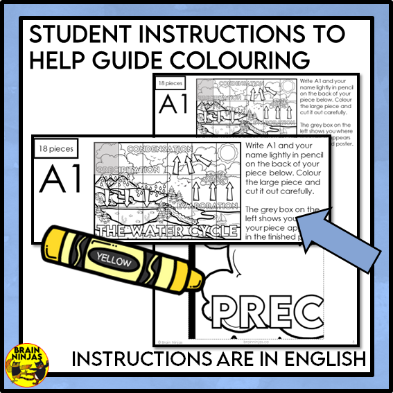 Water Cycle Collaborative Poster Colouring Activity | Paper – brainninjas
