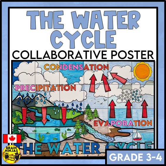 Water Cycle Collaborative Poster Colouring Activity | Paper – brainninjas