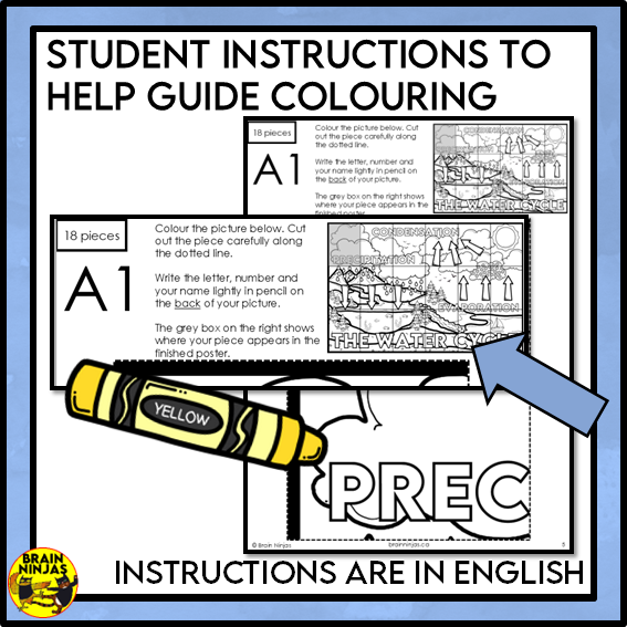 Water Cycle Collaborative Poster Colouring Activity | Paper – brainninjas