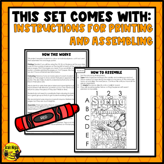 Spring Collaborative Poster | Paper – brainninjas