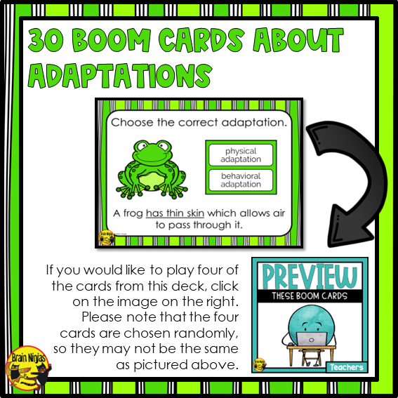 Wetlands Unit | Lessons and Activities Bundle | Paper and Digital ...