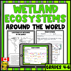 Wetlands Ecosystems Around the World | Paper and Digital – brainninjas