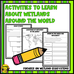 Wetlands Ecosystems Around the World | Paper and Digital – brainninjas