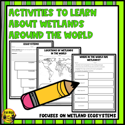Wetlands Ecosystems Around the World | Paper and Digital – brainninjas