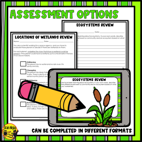 Wetlands Ecosystems Around the World | Paper and Digital – brainninjas